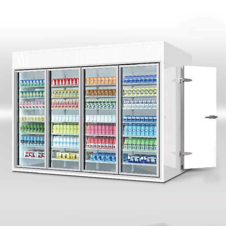 Commercial Glass Door Display Walk-in Freezer